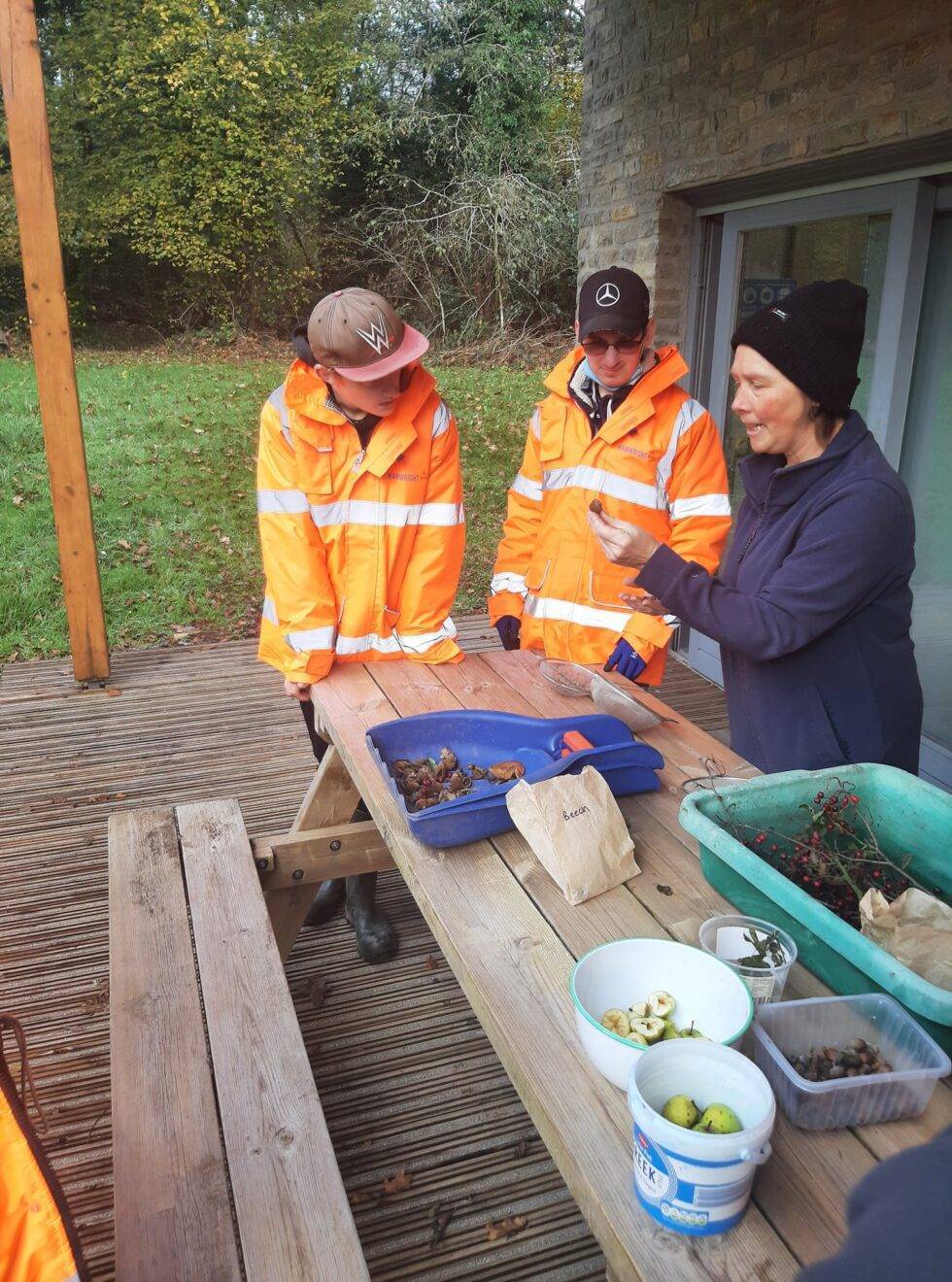 Work experience at Wainwright Quarry and Somerset Earth Science Centre ...