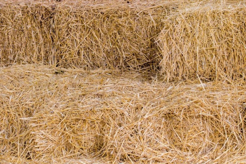 Hay Bales for sale at Fairfield Market Garden - Fairfield College ...